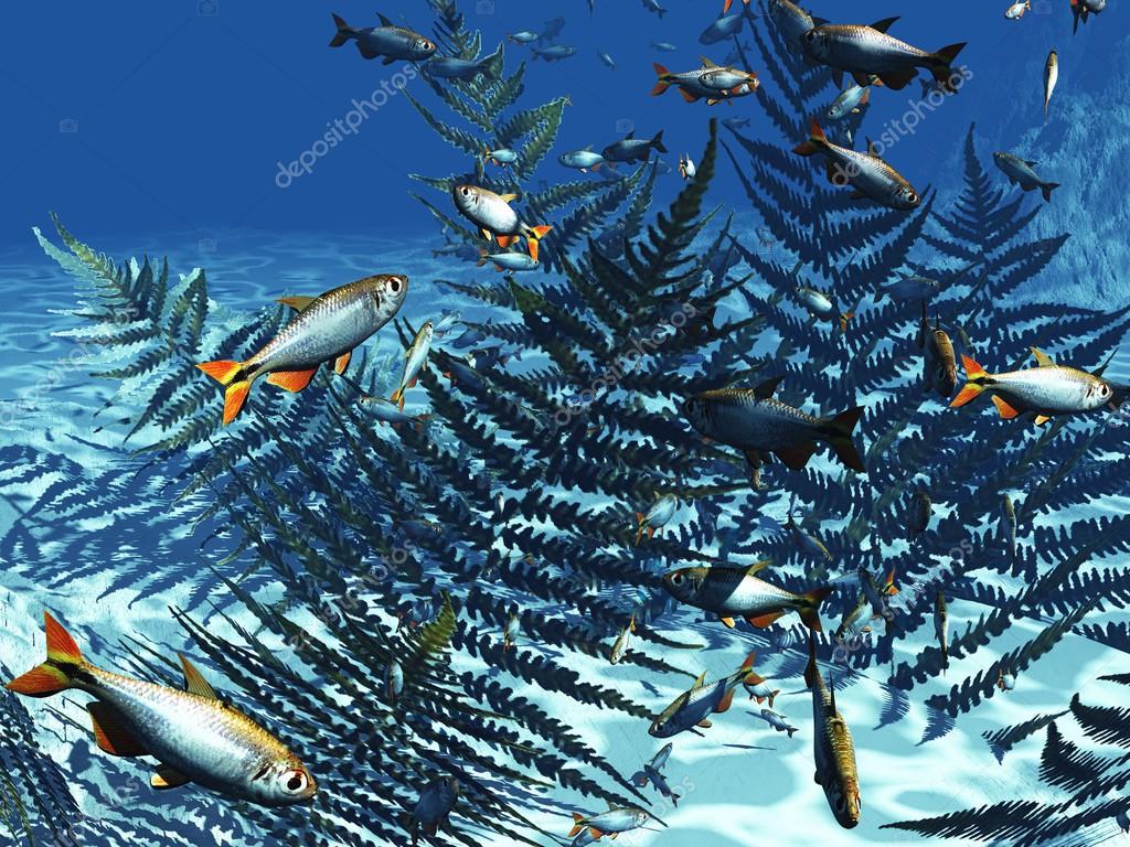 Tropical fish Stock Photo by ©DarioStudios 12943707