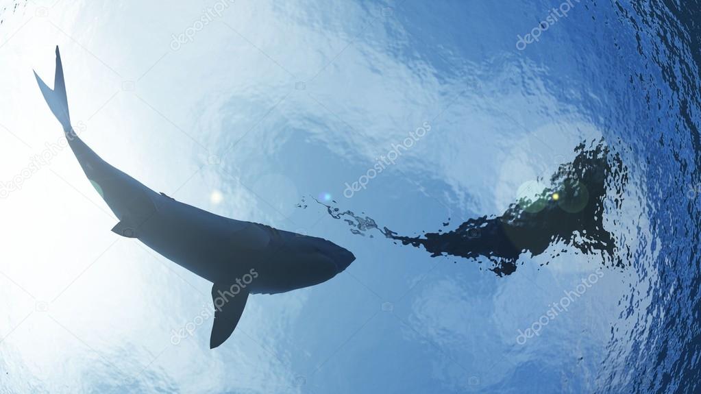 Sharks — Stock Photo © DarioStudios #12943751
