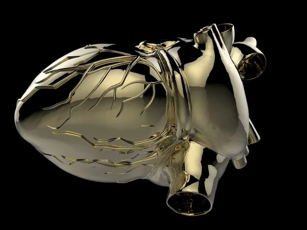 Model of artificial human heart 3d rendering Stock Photo by ...