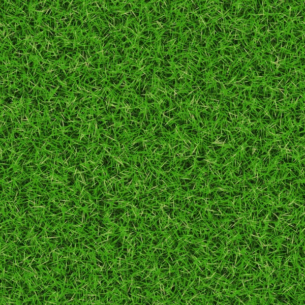 Grassy background ⬇ Stock Photo, Image by © DarioStudios #25199581