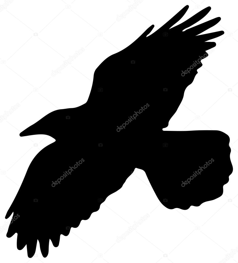 Flying crow Stock Vector by ©DarioStudios 40342067