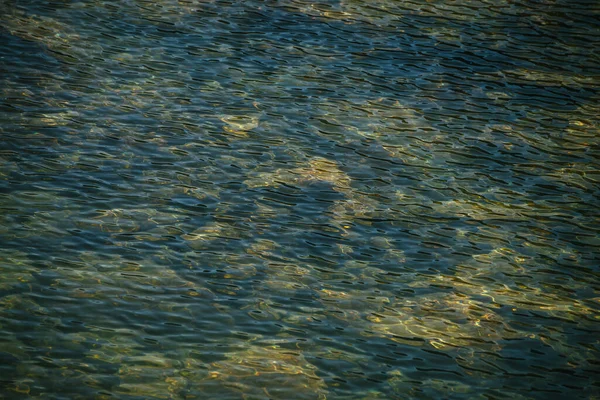 Pond water texture Stock Photos, Royalty Free Pond water texture Images ...