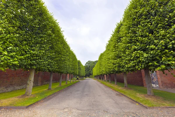 Tree lined street Stock Photos, Royalty Free Tree lined street Images ...