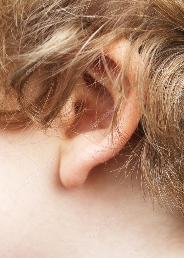 Human ear closeup. Stock Photo by ©Leitner 31221303