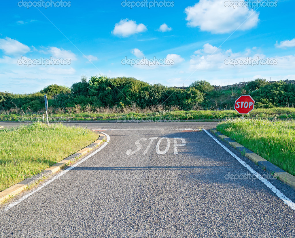 country road with stop sign — Stock Photo © AlKan32 #24921915