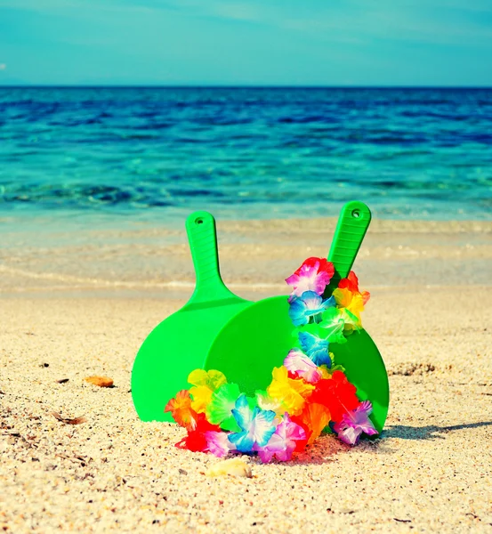 Diving tools Stock Photos, Royalty Free Diving tools Images | Depositphotos