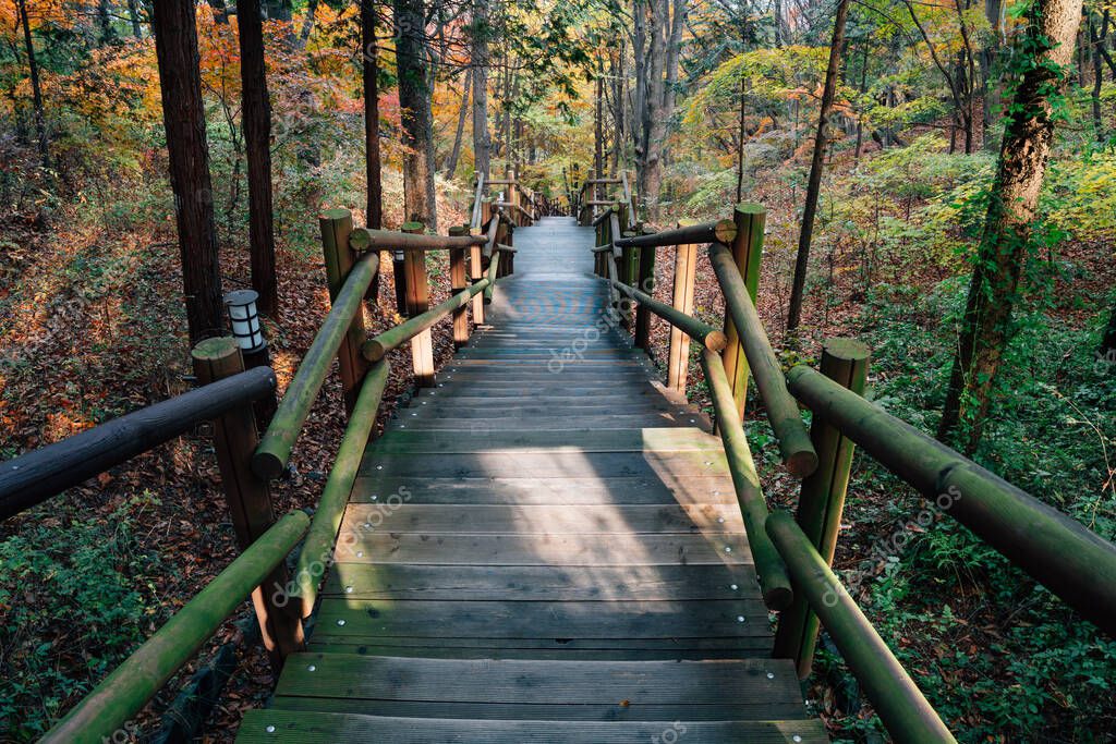 Wolmido isla Wolmisan sendero de montaña en otoño en Incheon, Corea 2023