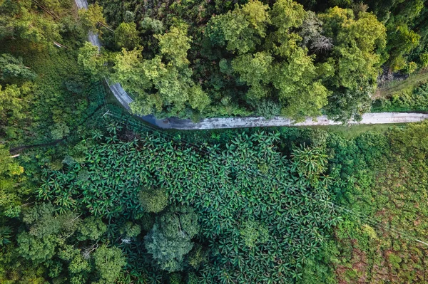 Aerial view of a wildlife corridor in tossa de mar spain Stockfotos ...