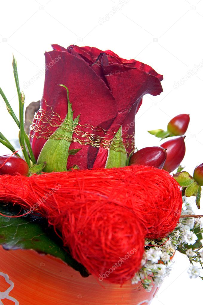 Red rose — Stock Photo © photographyMK #22709101