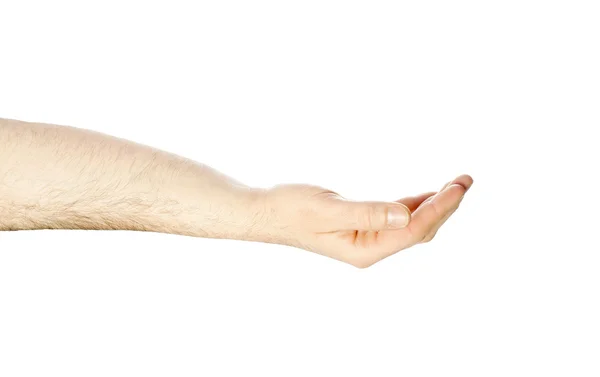 Stockfoto's van Ferret claw, rechtenvrije afbeeldingen van Ferret claw ...