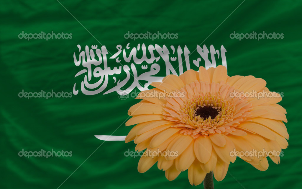 Flower Of Saudi Arabia | Best Flower Site