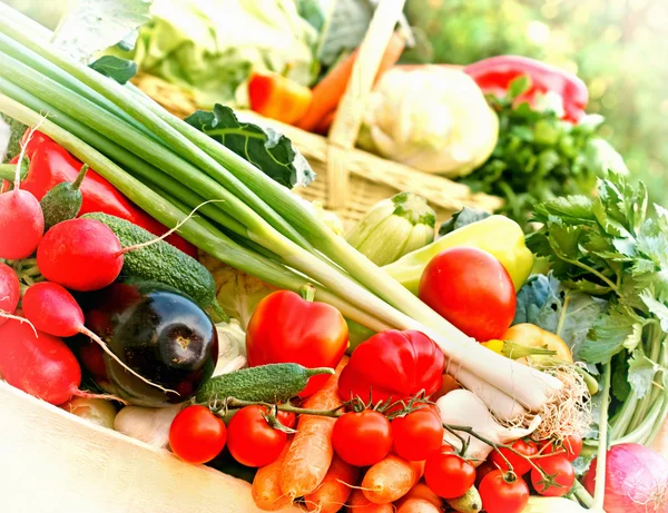 Fresh organic vegetables Stock Photo by ©lola19 24286607