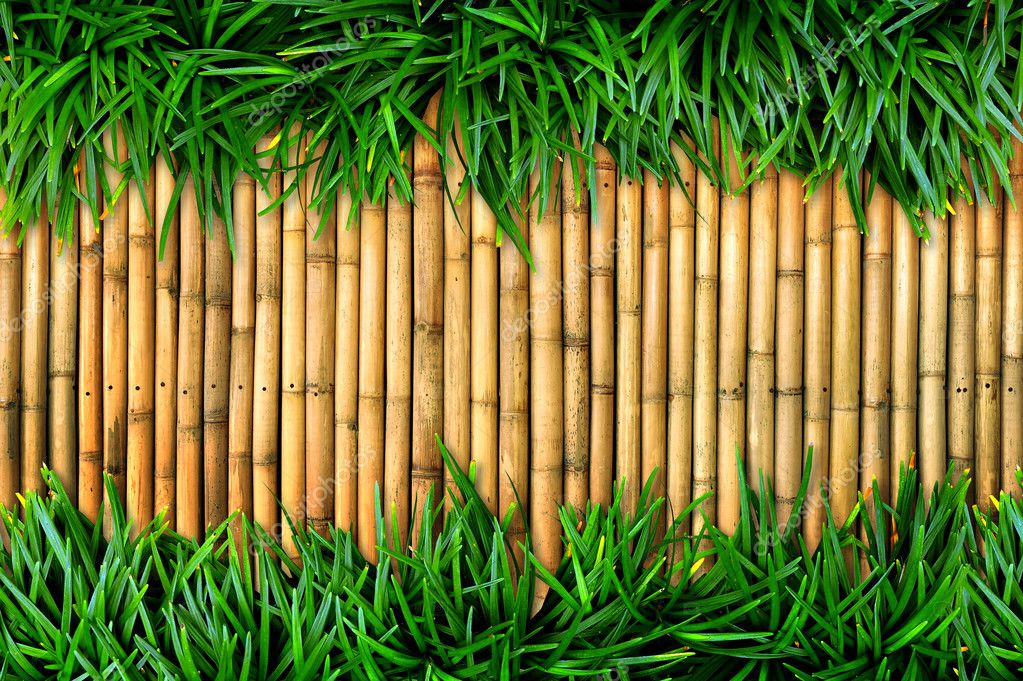 Green grass on bamboo background. — Stock Photo © kanate #26648507