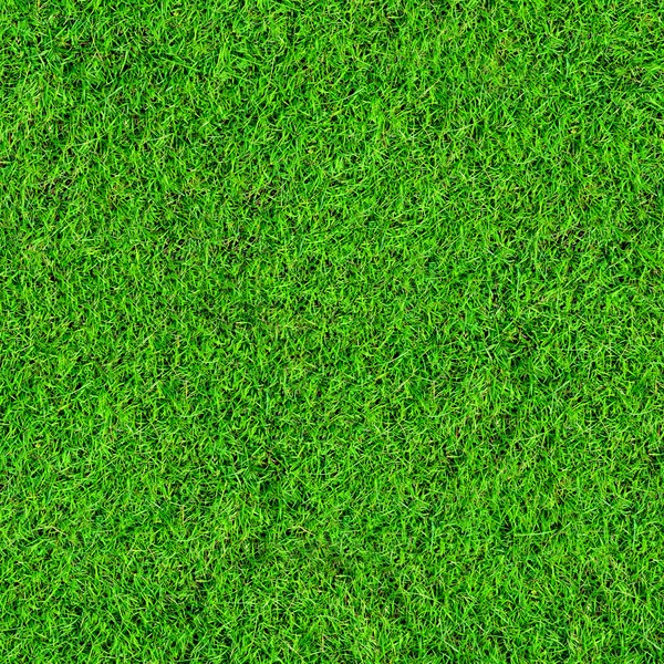 High resolution green grass background — Stock Photo © tiler84 #1758396