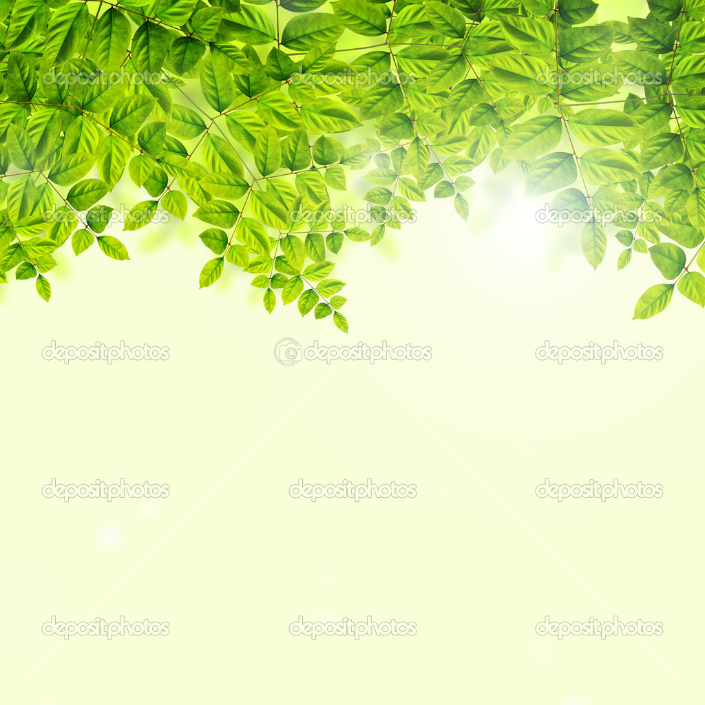 Fresh Green leaves background Stock Photo by ©kanate 28190601