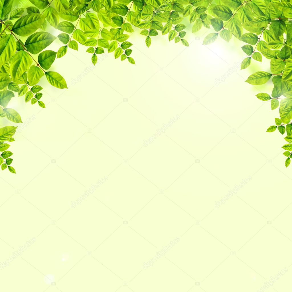 Fresh Green leaves background Stock Photo by ©kanate 28190661
