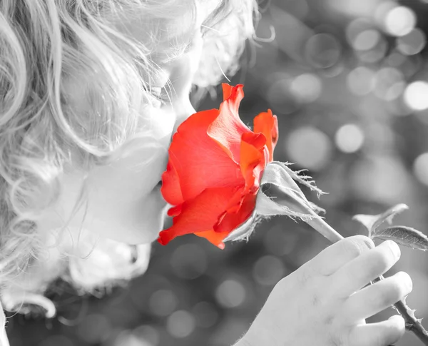 Girl kissing rose Stock Photos, Royalty Free Girl kissing rose Images ...