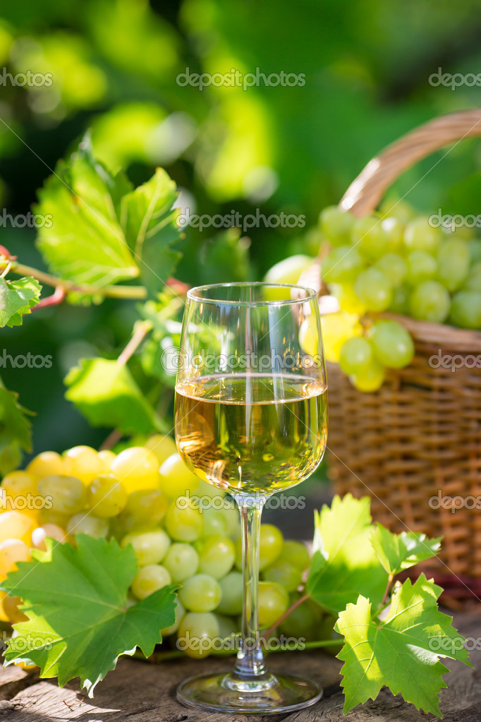 White wine in glass ⬇ Stock Photo, Image by © Yaruta #42217675