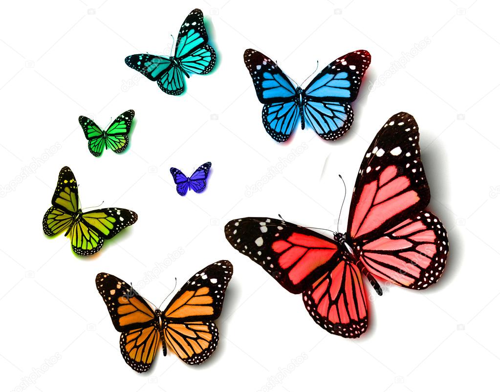 Butterfly — Stock Photo © ArchManStocker #13306668