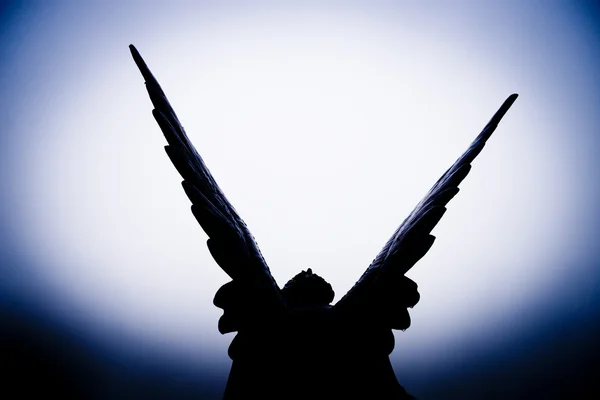 The protector Stock Photos, Royalty Free The protector Images ...