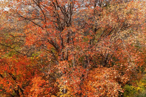 Indiana fall Stock Photos, Royalty Free Indiana fall Images | Depositphotos