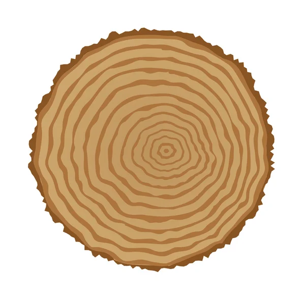 Cross section of tree stump, vector illustration — Stock Vector ... Cross section of tree stump, vector illustration — Stock Vector ...