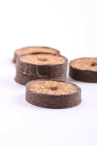 Coconut tablets for growing Stock Photo by ©wasja 45535937