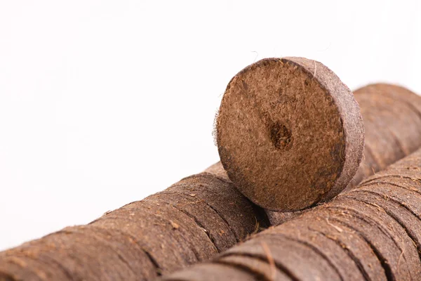 Coconut tablets for growing Stock Photo by ©wasja 45535937