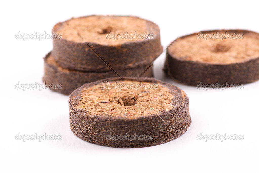Coconut tablets for growing Stock Photo by ©wasja 45535937