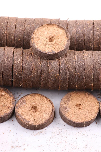 Coconut tablets for growing Stock Photo by ©wasja 45535937