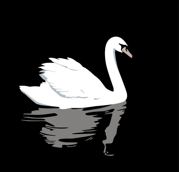 Cygnet Stock Vectors, Royalty Free Cygnet Illustrations | Depositphotos®