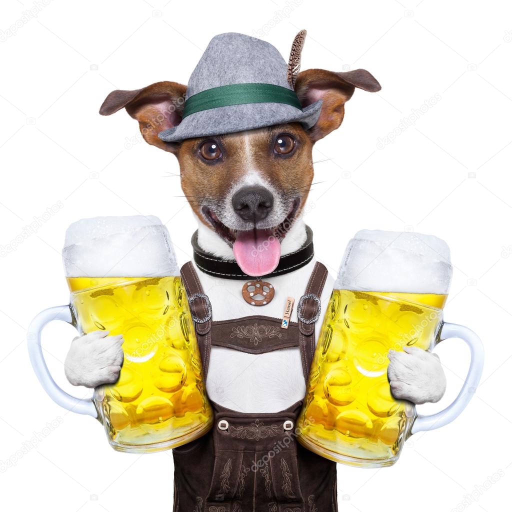 Dogs Drinking Beer