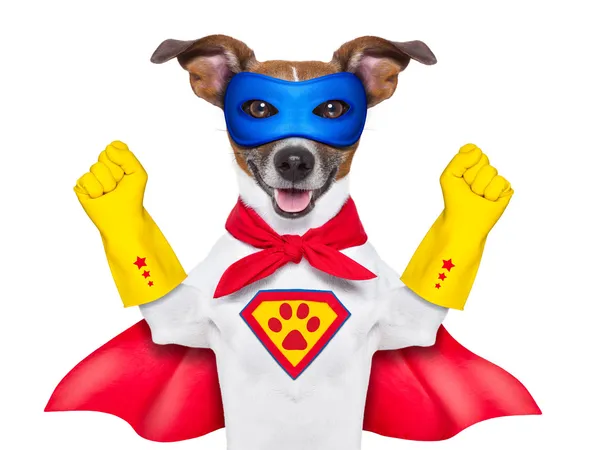 Superhero dog Stock Photos, Royalty Free Superhero dog Images ...