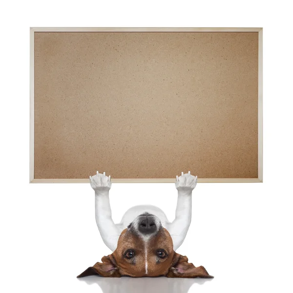 Placeholder Stock Photos, Royalty Free Placeholder Images | Depositphotos