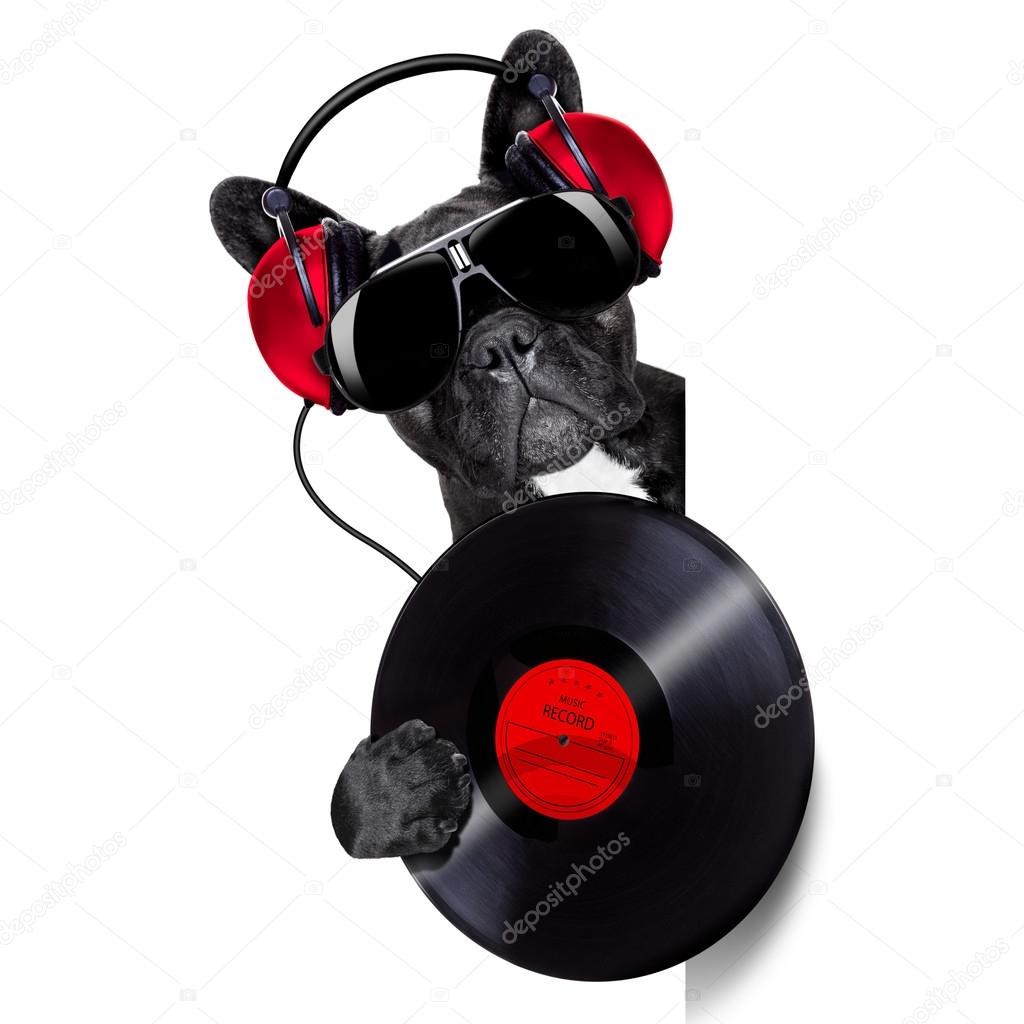 Dog record vinyl Stock Photo by ©damedeeso 51048691