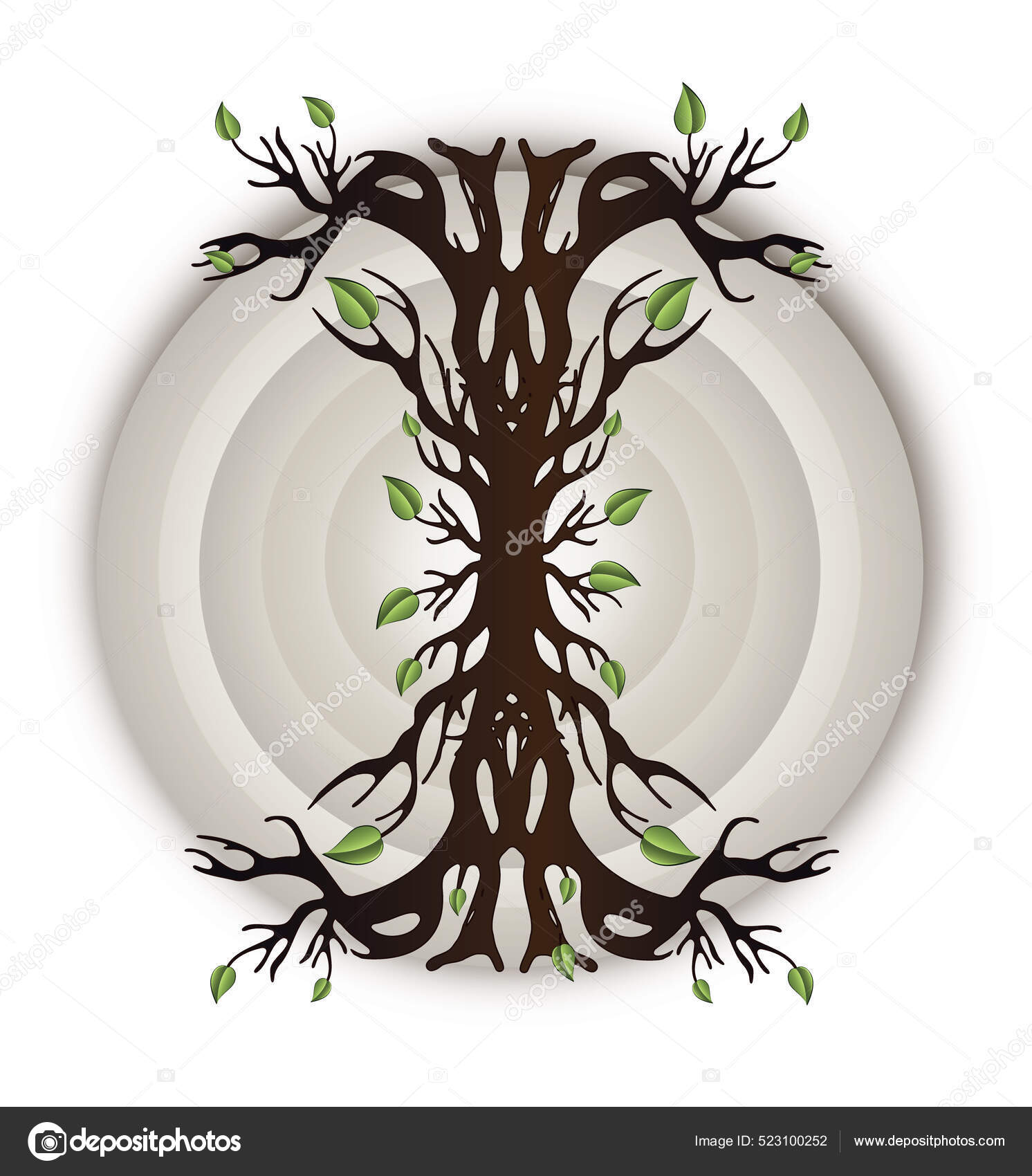 Tree Roots Leaves Background Circles Blank — Stock Photo © Mondi.h ...