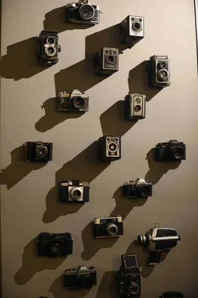 Kunstcamera museum Stock Photos, Royalty Free Kunstcamera museum Images ...