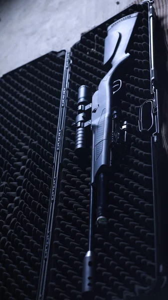 Horror gun Stock Photos, Royalty Free Horror gun Images - Page 5 ...