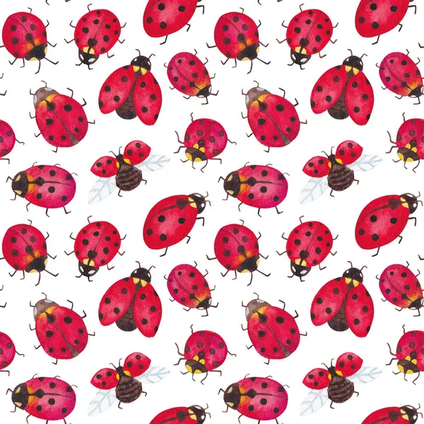 100,000 Ladybug seamless Vector Images | Depositphotos