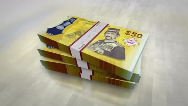 810 Banknot paket Videos, Royalty-free Stock Banknot paket Footage ...