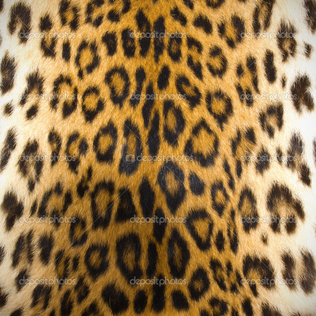Leopard skin texture — Stock Photo © wyoosumran #32281395
