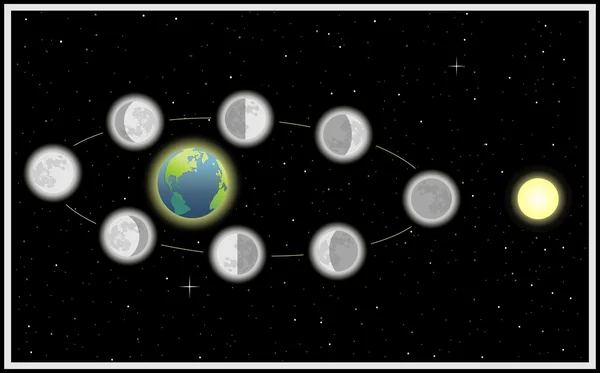ᐈ Clip art moon phases stock vectors, Royalty Free moon phase ...