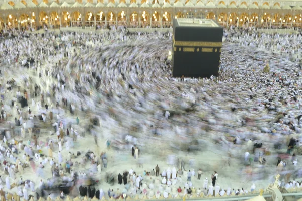 Kabe stok fotoğraflar | Kabe telifsiz resimler, görseller | Depositphotos