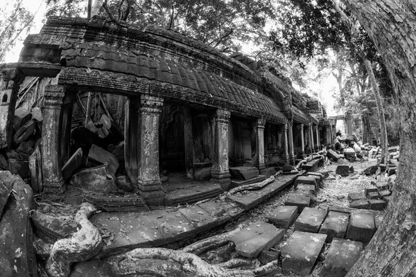 Bâtard de temple Stock fotók, Bâtard de temple Jogdíjmentes képek ...