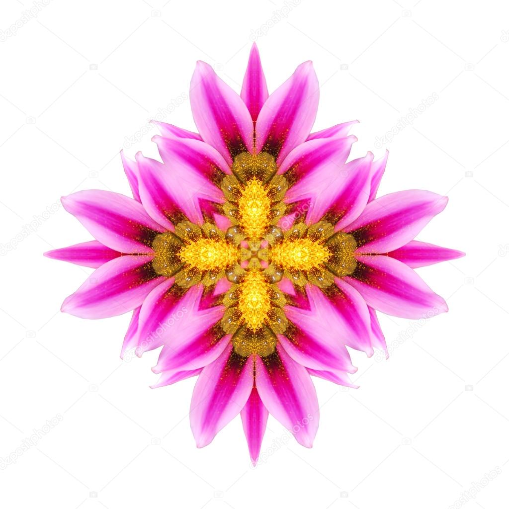 Violet flower mandala — Stock Photo © migellito #18616107
