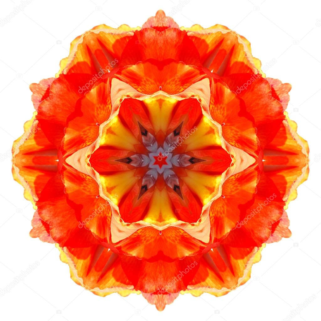 Flower mandala — Stock Photo © migellito #18616129