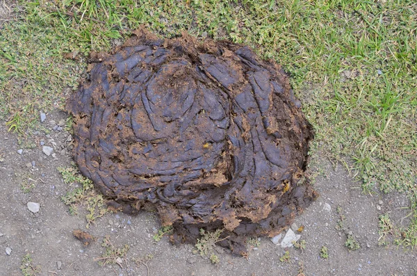 Bosta Fotografias de Banco de Imagens, Imagens Livres de Direitos ...