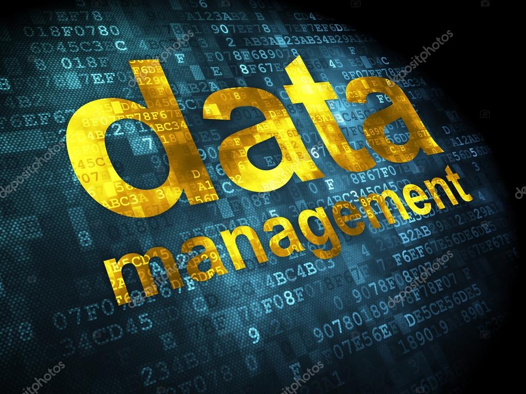 Information concept: Data Management on digital background Stock Photo ...