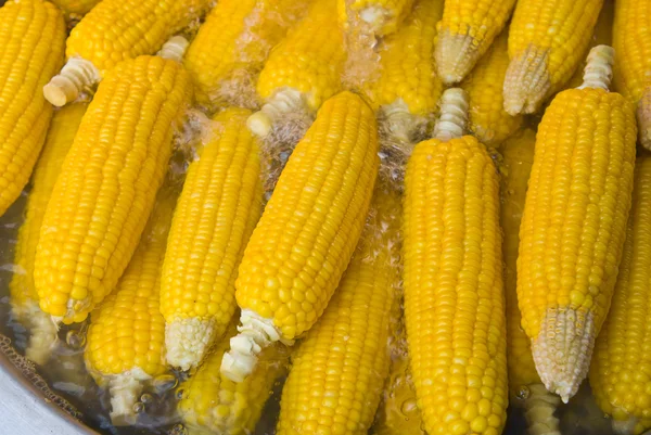 Ébullition de maïs images libres de droit, photos de Ébullition de maïs ...