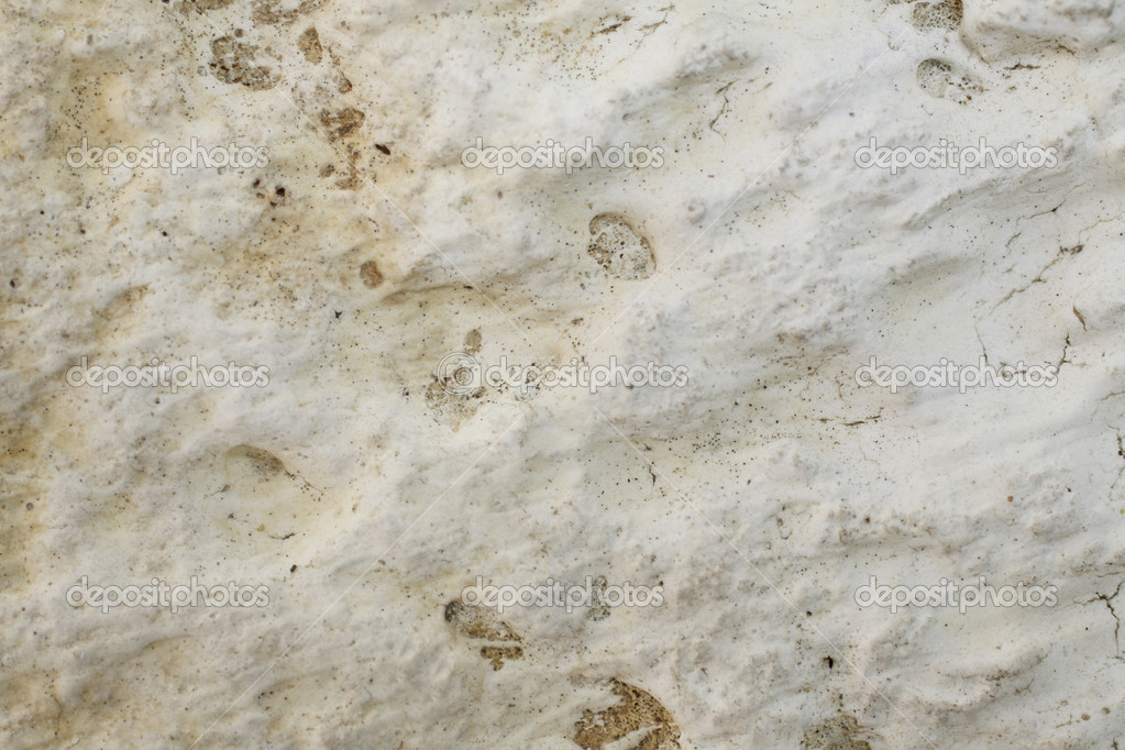 Knochen-Textur — Stockfoto © charmboyz #33739639